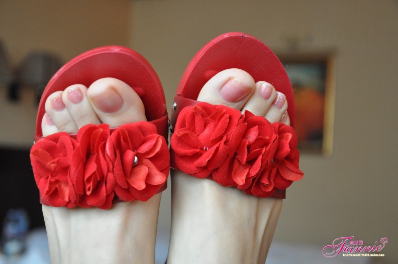 DSC 0139 | （福妹）主题相册