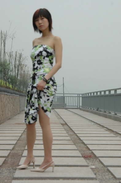 DSC 9335 | （福妹）主题相册